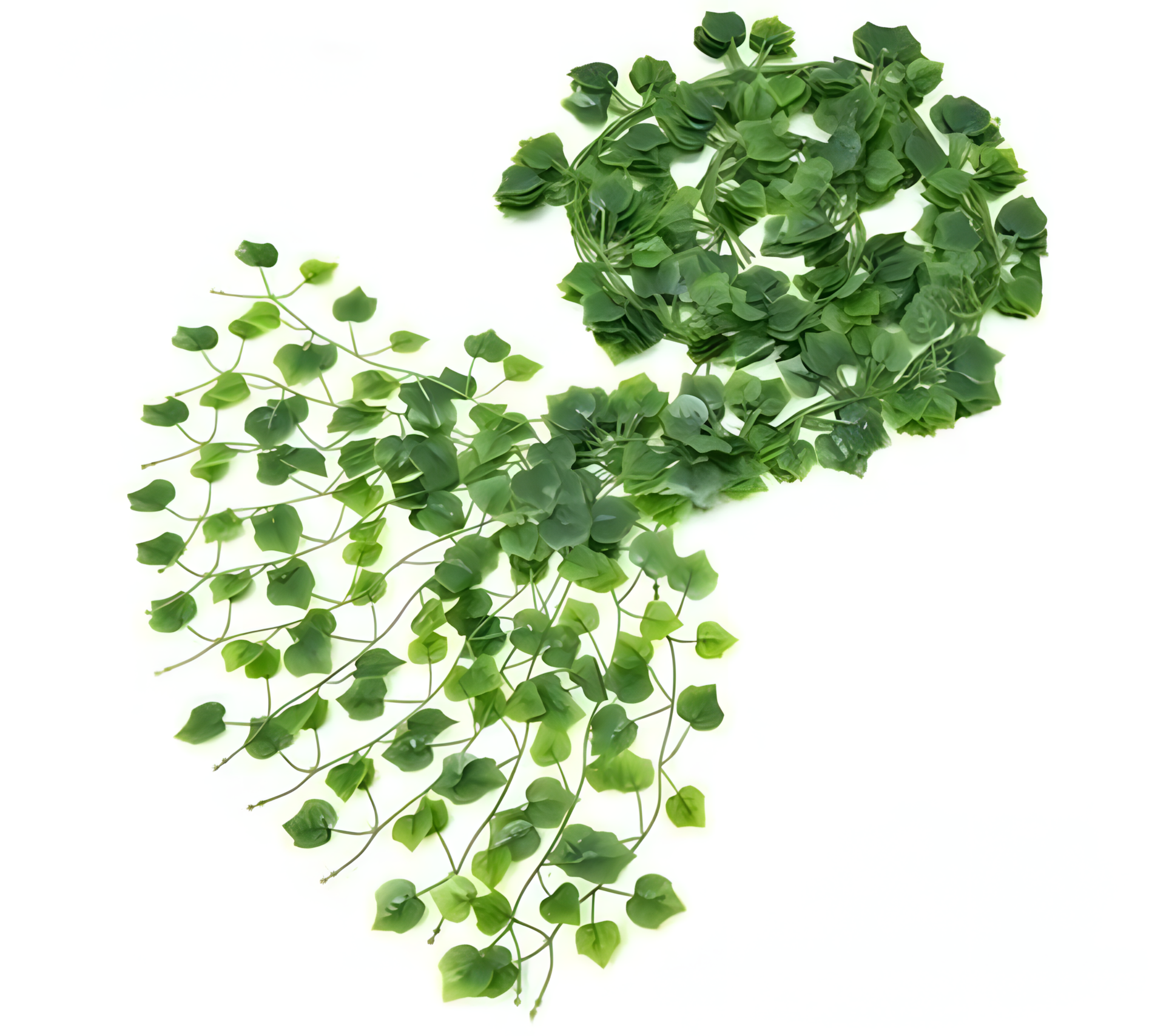 Искусственные листья винограда для декора, 72 листа на полоске, 230 см, зеленый