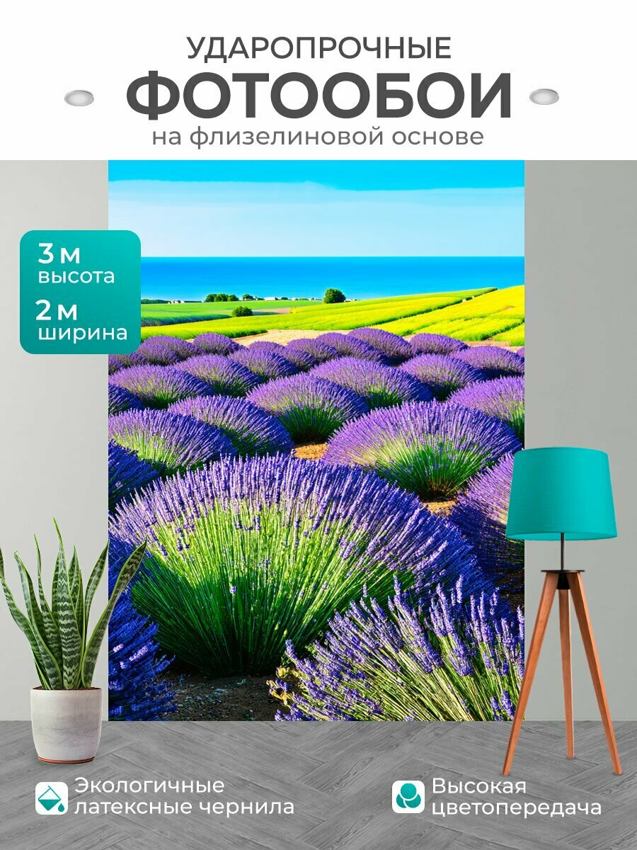 Фотообои моющиеся ударопрочные "Сельский пейзаж с синими полями лаванд, растущими под ярким солнцем, а за ними синее море на горизонте. лаванда" 200x300 см. флизелиновые на стену