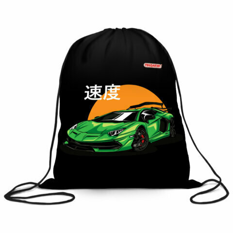 Мешок для обуви пифагор, 1 отделение, 40х32 см, Dive into drive, 272388