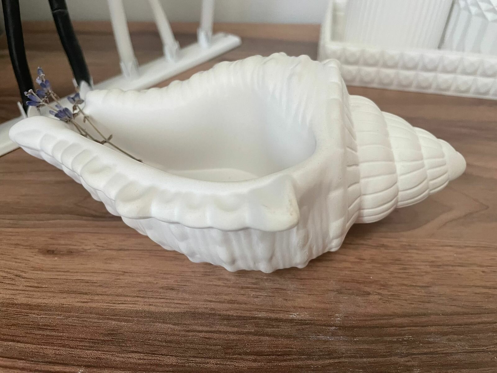 Морская ракушка большая белая