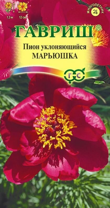 Семена растения пион уклоняющийся марьюшка