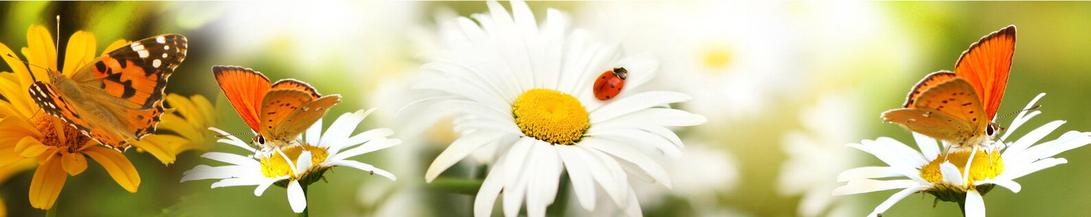 Кухонный фартук/стеновая панель МДФ для кухни 2800*600*6мм "TOP-51"