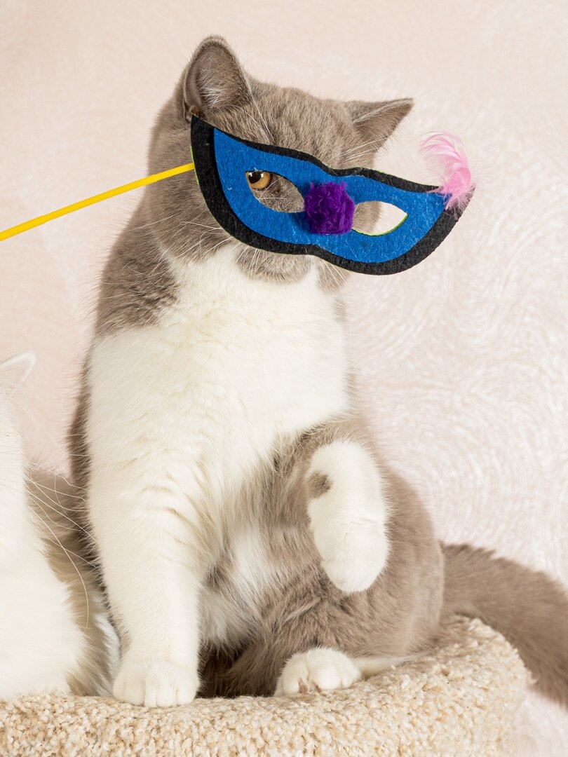 Игрушка для кошек Japan Premium Pet маскарад (для селфи) "Воришка"