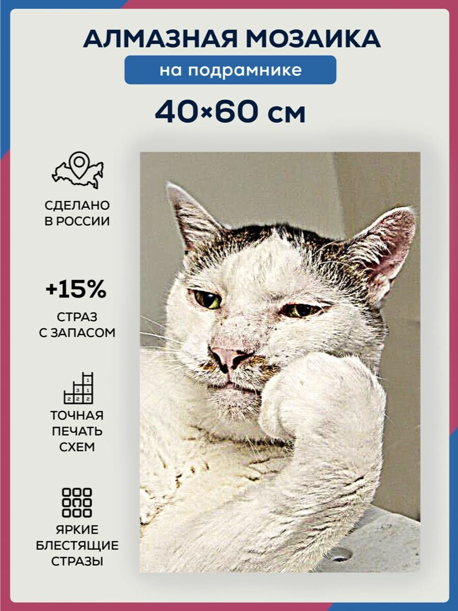Алмазная мозаика 40x60 Брутальный кот на подрамнике