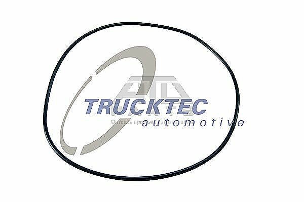 Кольцо уплотнительное 255x5 мм ступицы бортового редуктора заднего моста MAN/MB (06.56341.4254) Trucktec