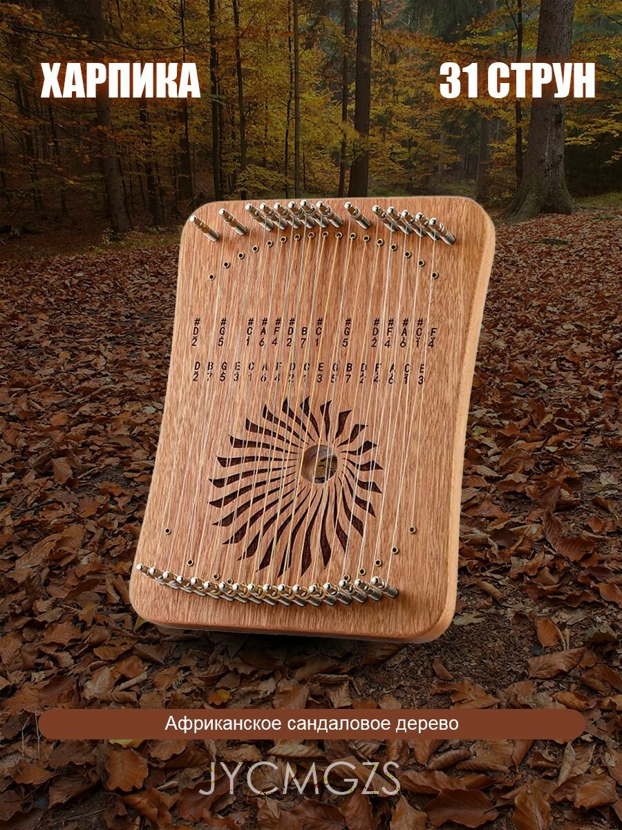 Струнный инструмент