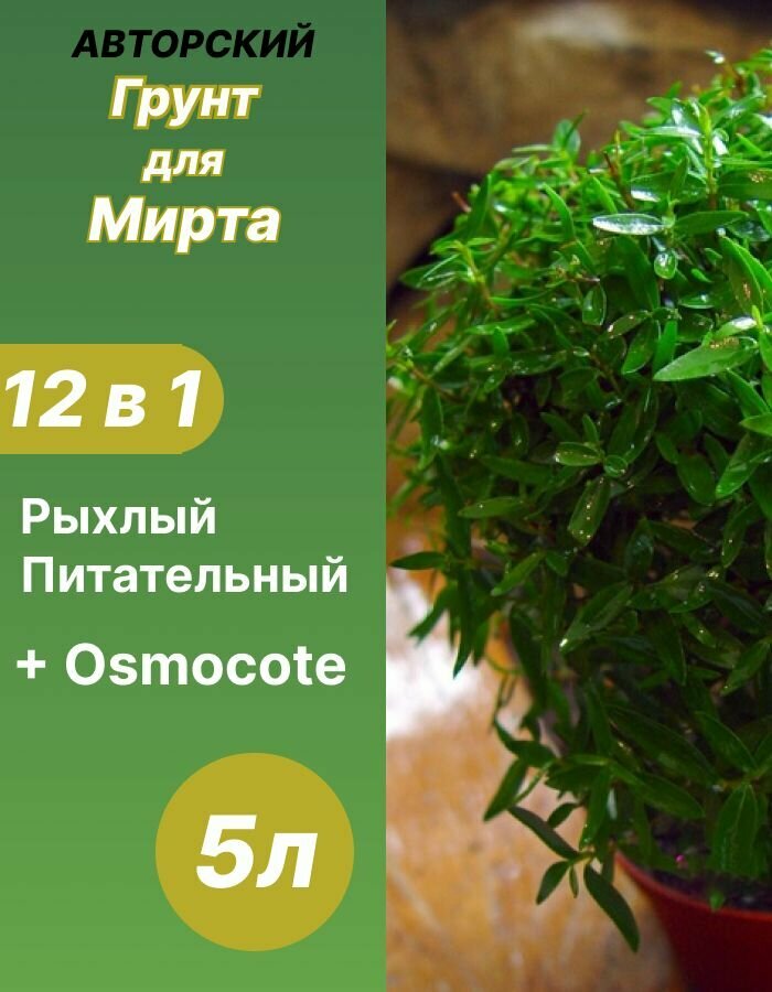 Грунт для Мирта 5л готовый