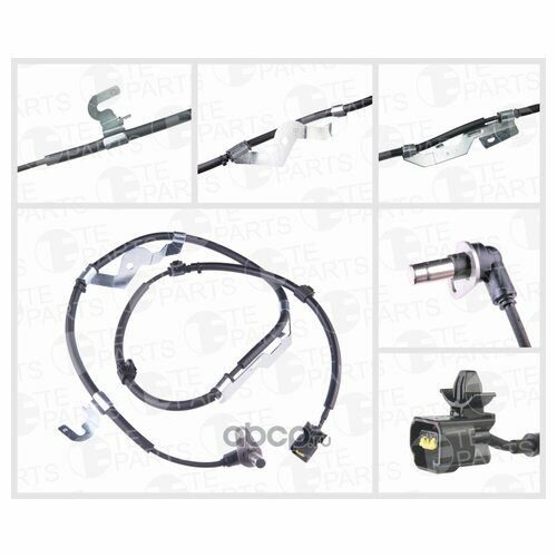 Датчик abs (передний правый, угловой, с тремя кронштейнами, длина кабеля 1330мм) TE PARTS 10500533