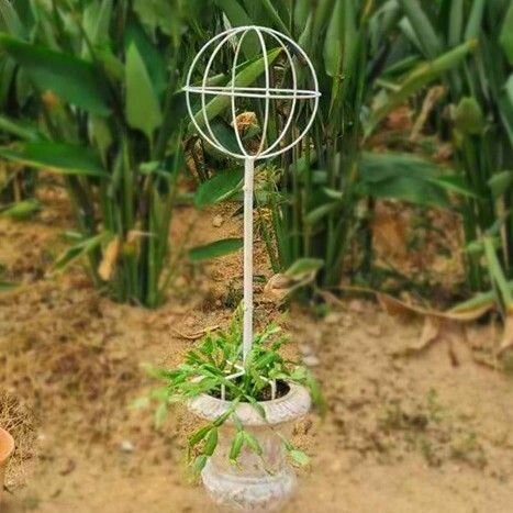 Подставка для вьющихся растений "Шаровая опора", металл, цвет оранжевый