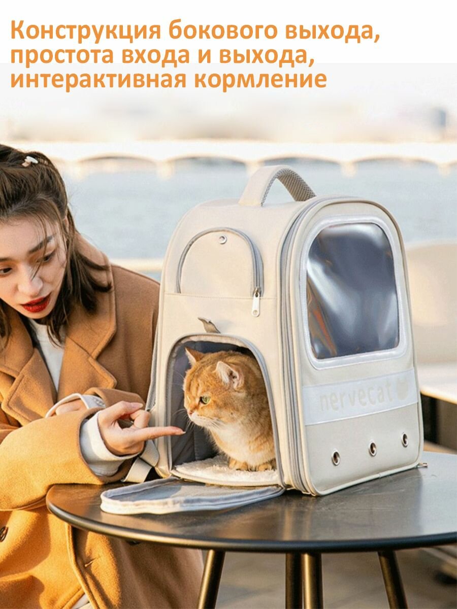 Переноска — фото 1