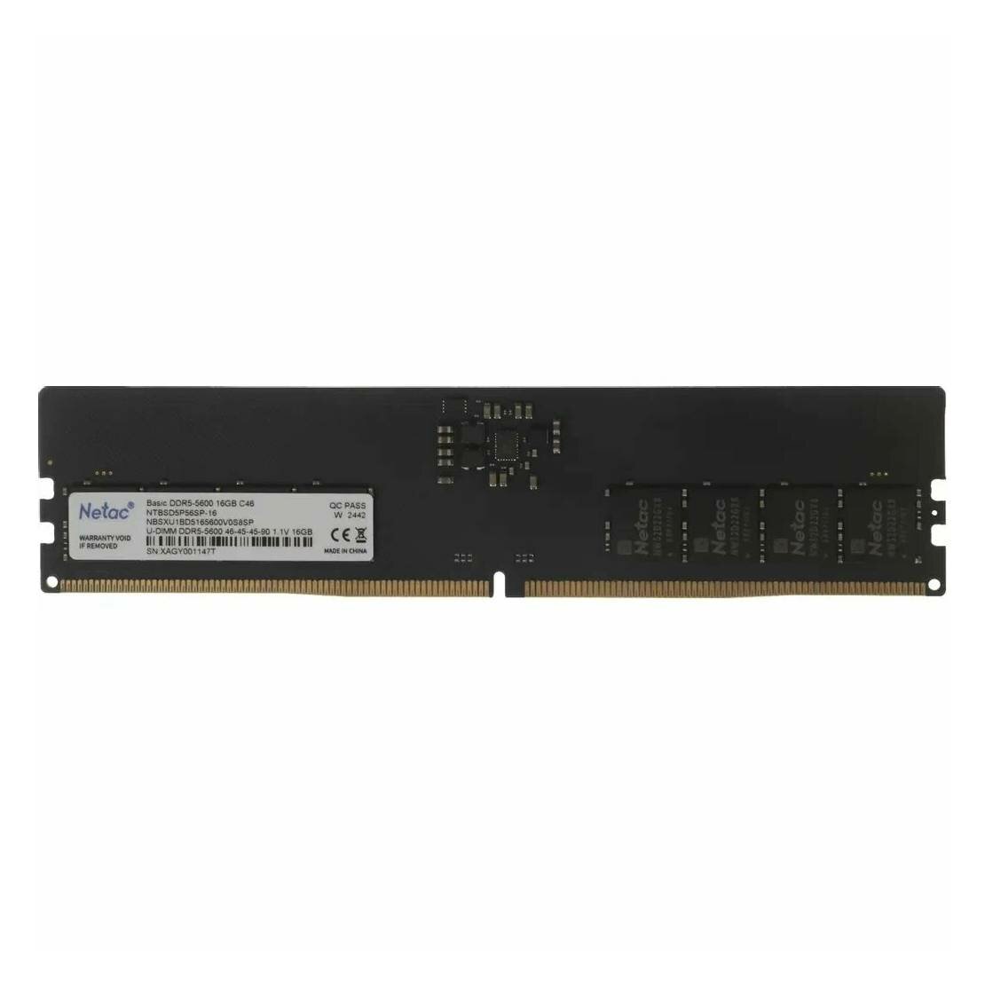 Оперативная память Netac Basic NTBSD5P56SP-16 DDR5, 16 Гб, 5600 МГц, RTL, PC5-44800, CL46, DIMM, ECC, 288-pin