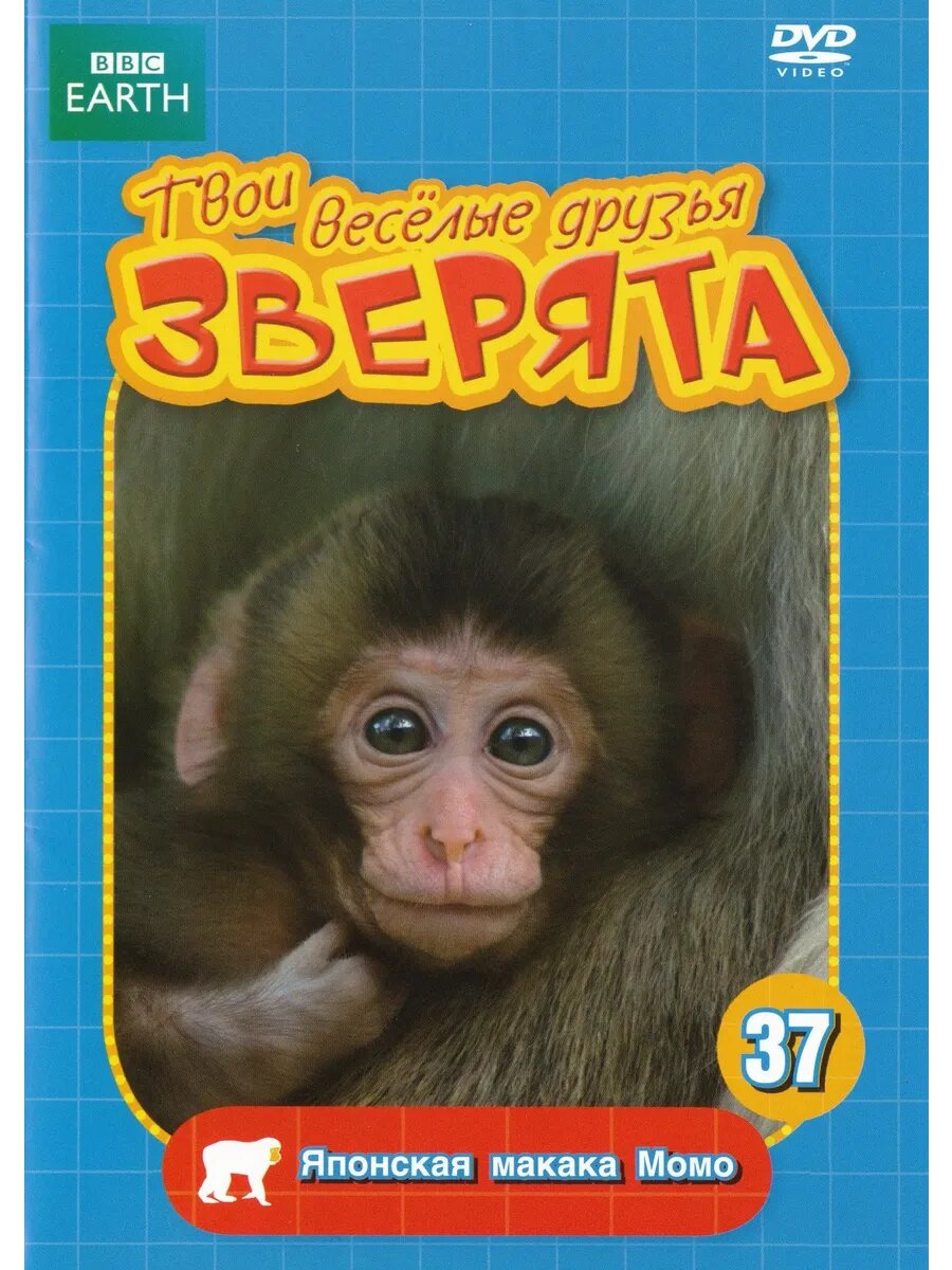 BBC: Японская макака Момо (DVD-R)