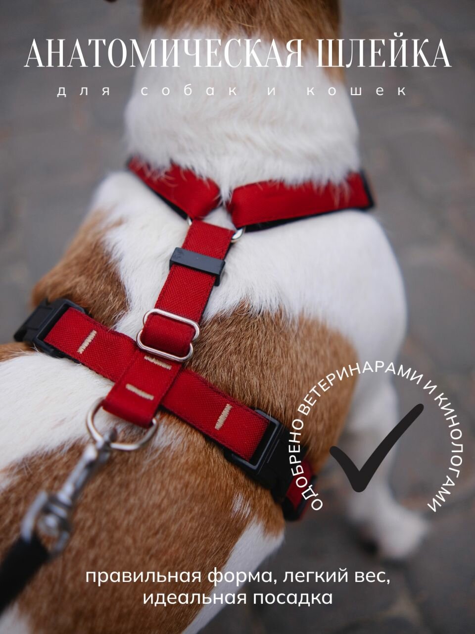 Анатомическая шлейка BIGLINI размер M+ для собаки любой породы Y-образной формы идеальный подарок рекомендованный кинологами и ветеринарами