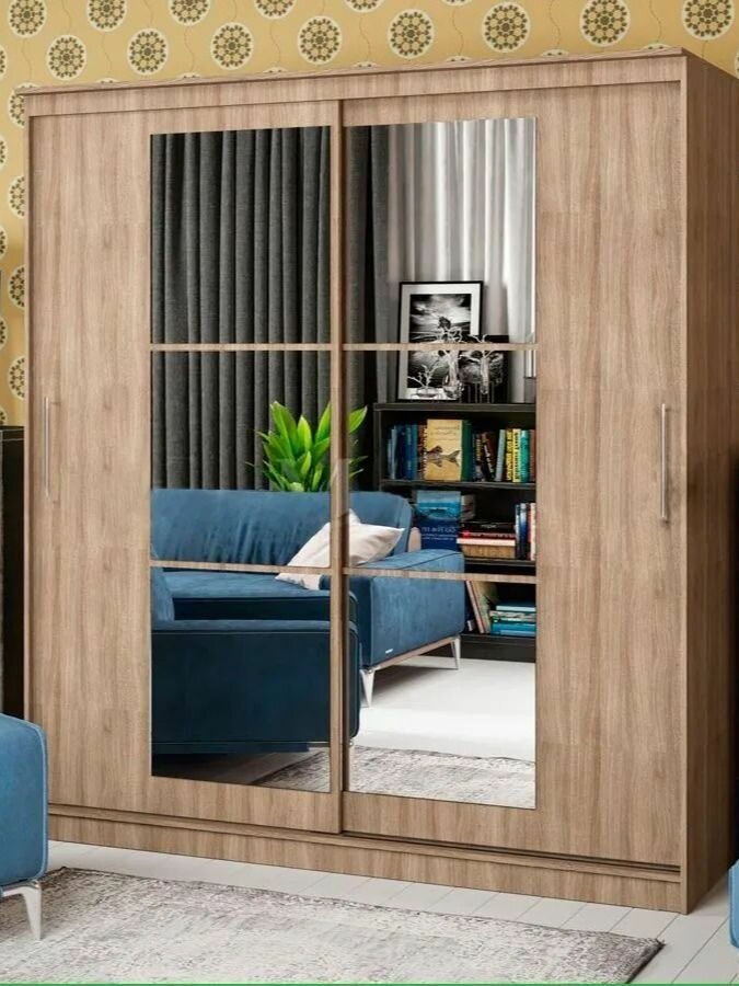 Шкаф-купе Элегант №3 2000х2200х650 (Ясень шимо темный)