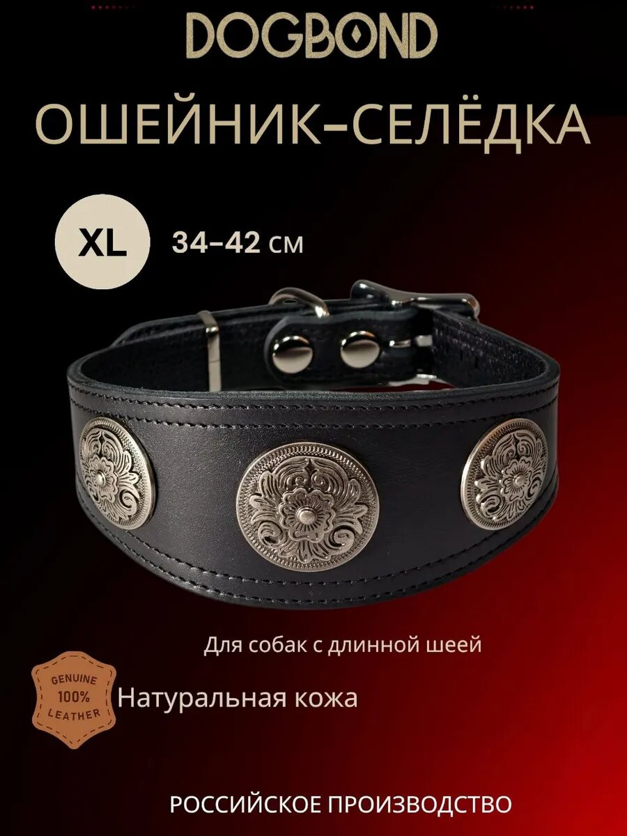 Ошейник-селедка Dogbond для грейхаундов и борзых собак
