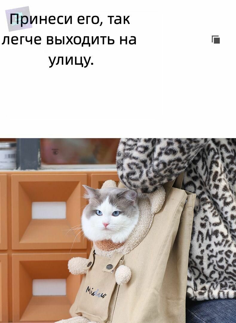 Переноска — фото 1