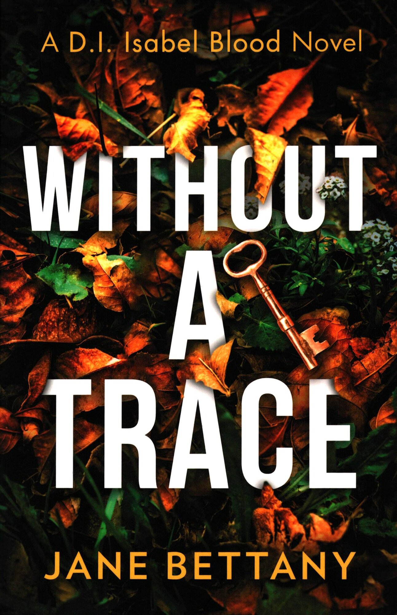 Without a Trace / Книга на Английском