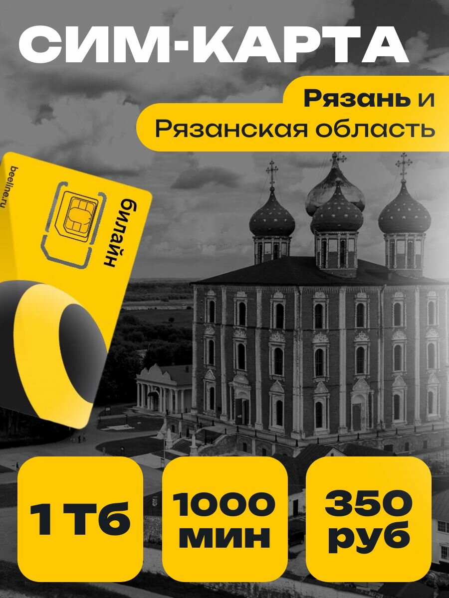 Сим-карта Билайн тариф Эксклюзивный Плюс Рязанская область 1000 Гб + 1000 минут за 350 руб.