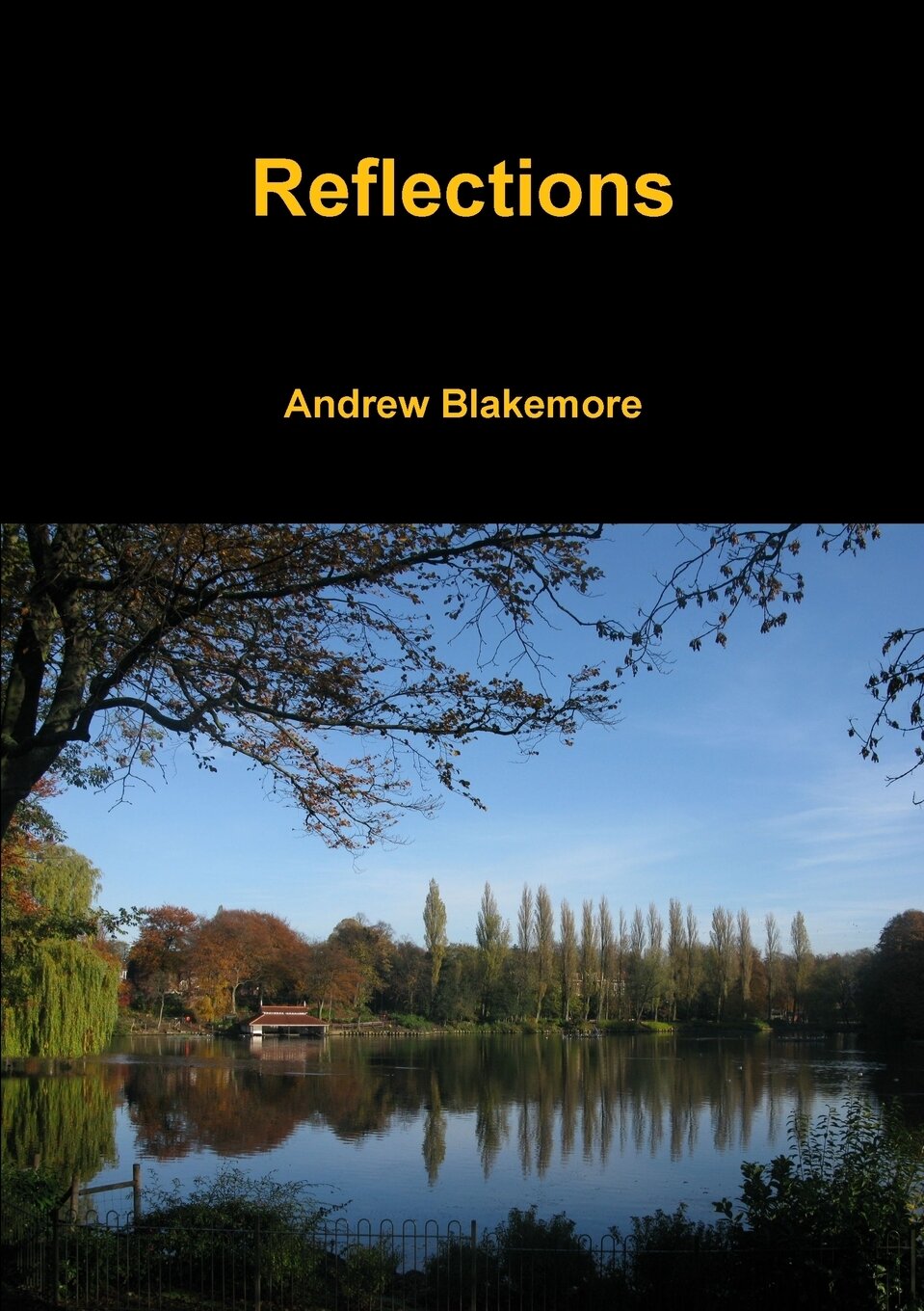 Reflections — фото 1