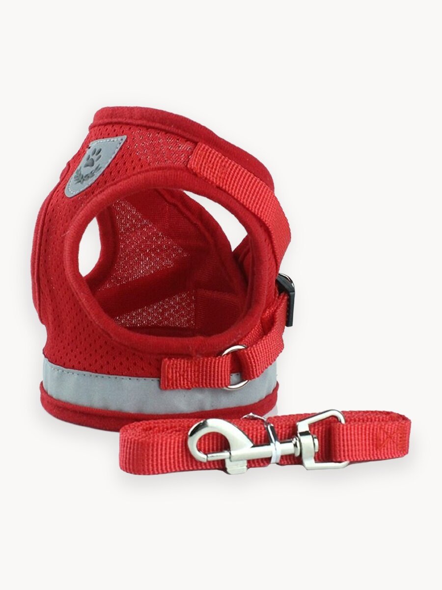 Шлейка для собак мелких пород и кошек с поводком Mirestra, красная, размер M