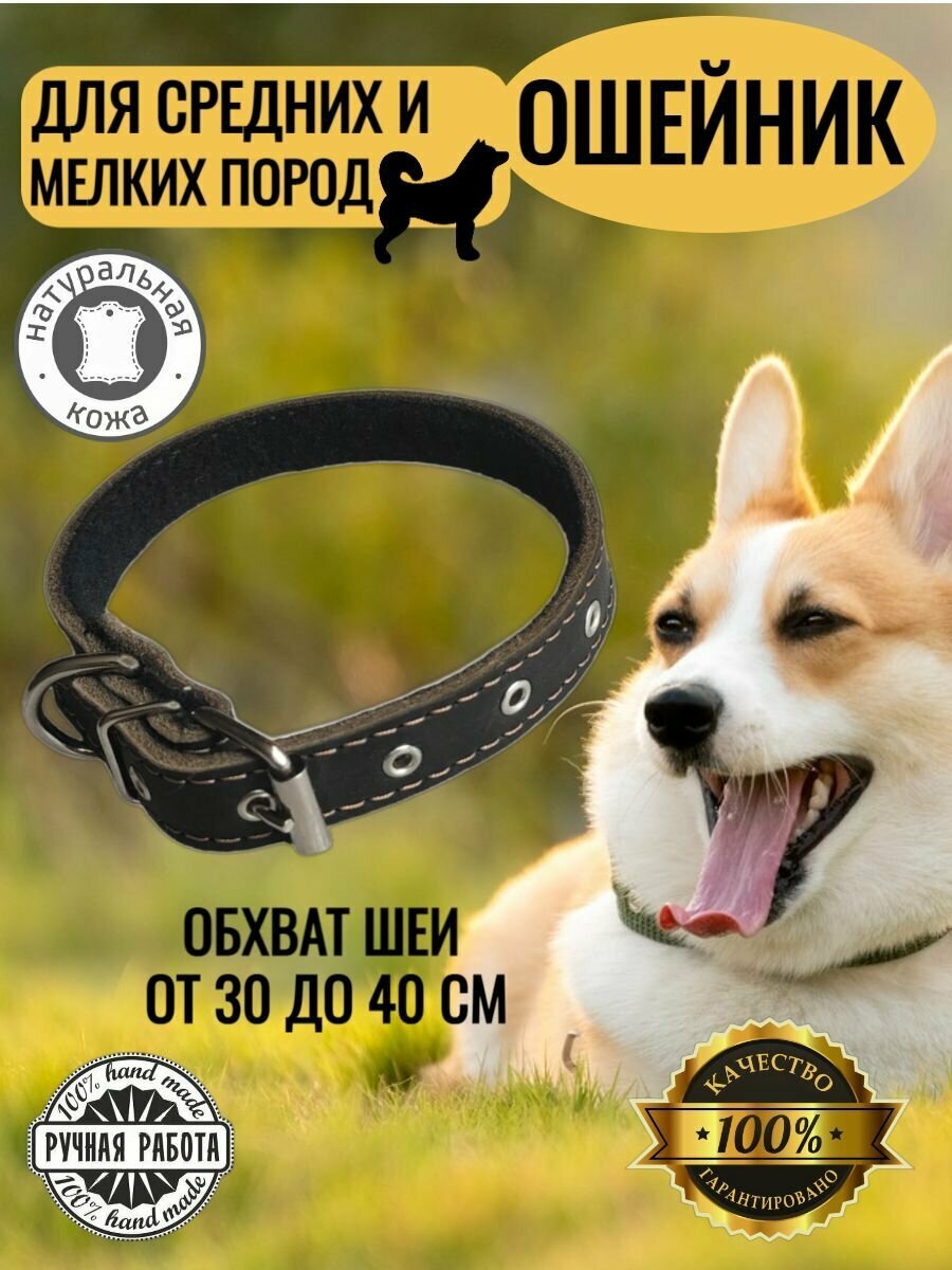 Ошейник из натуральной кожи для средних и мелких пород собак/ Прочный, крепкий/ Обхват шеи от 30 до 40 см, длина 43 см.