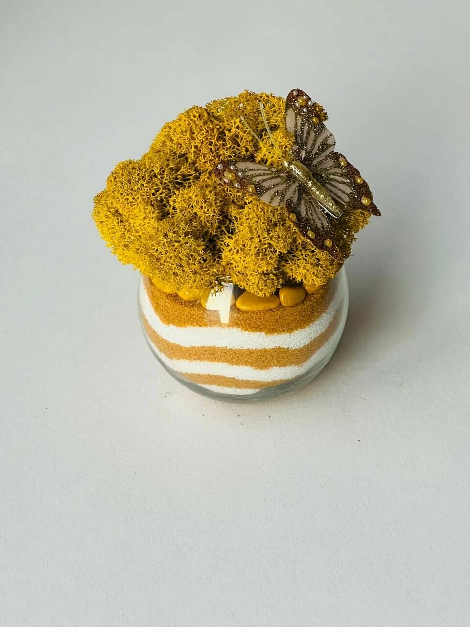 Мох в вазе флорариум / Комнатный цветок / Подарок