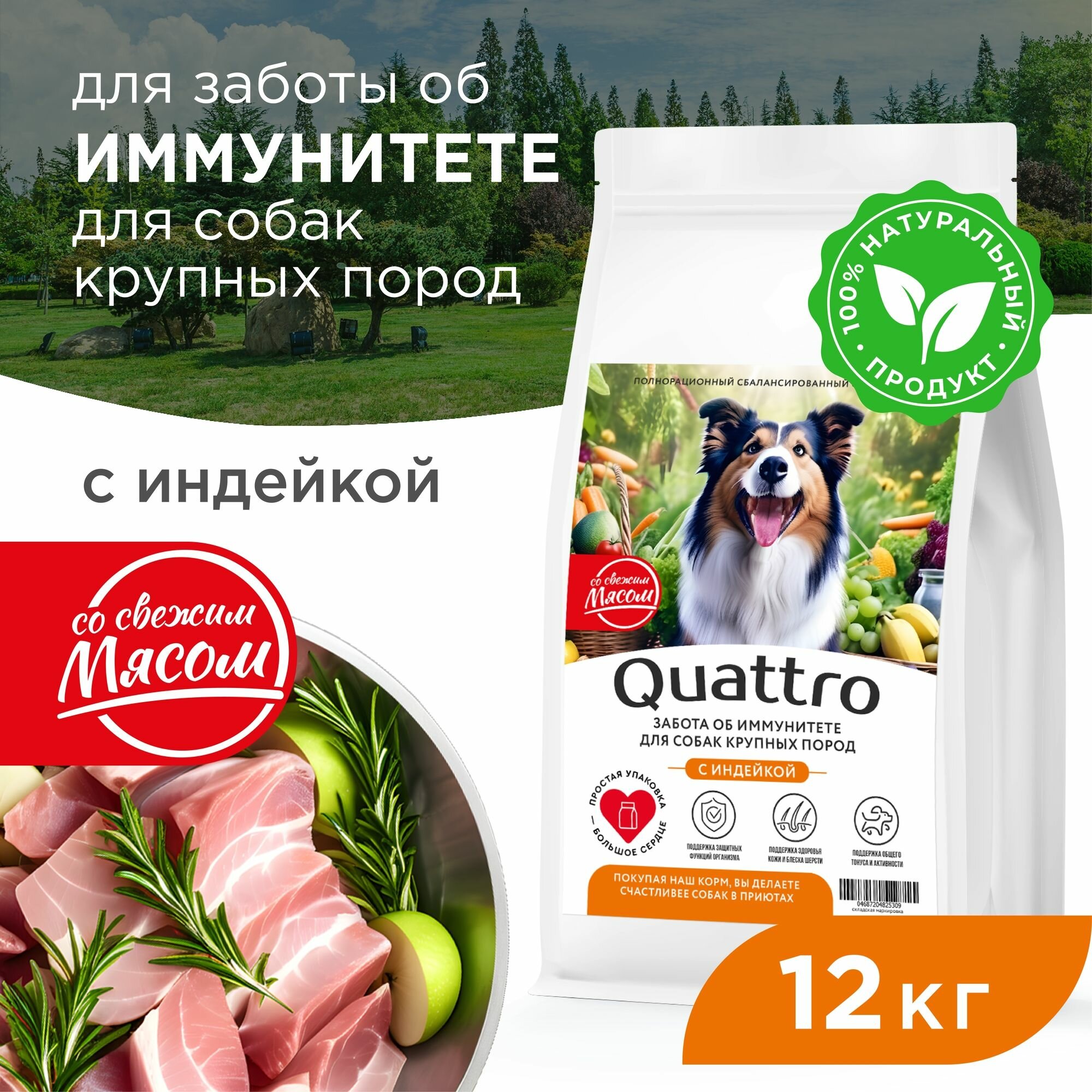 Корм сухой для взрослых собак крупных пород, премиум полнорационный комплекс, забота об иммунитете, с индейкой, 12 кг, QUATTRO