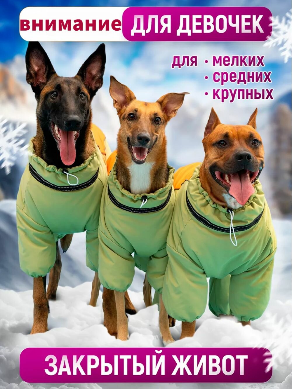 Утепленный комбинезон для собак малых пород G0