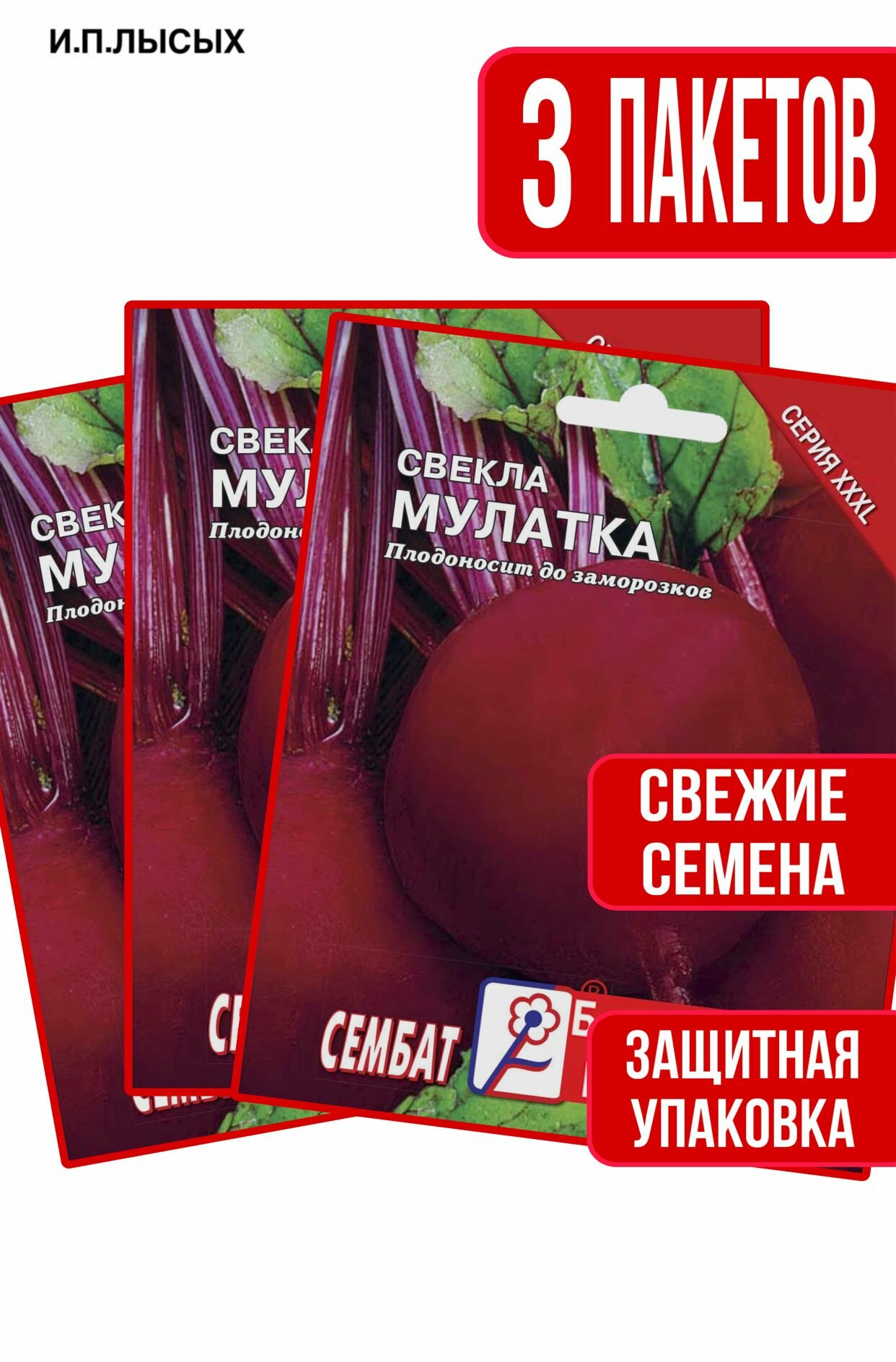 Семена Свекла Мулатка