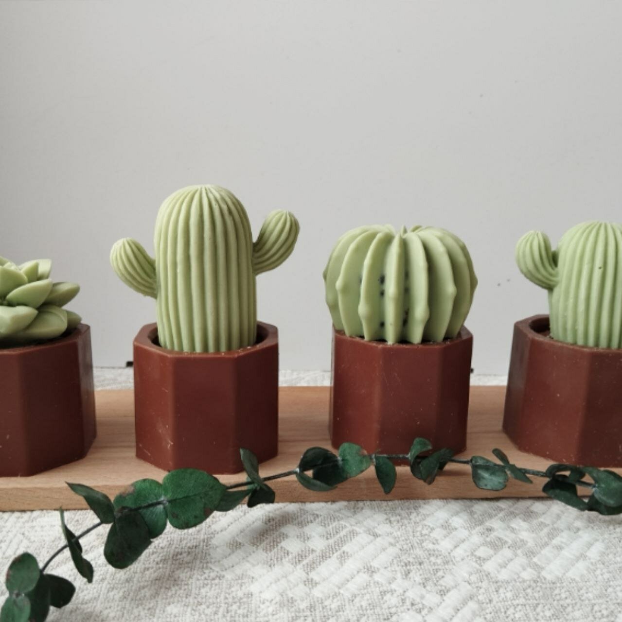 Шоколадный кактус, авторский, ручная работа, в горшке, Кактус Мексиканский Большой, 165 г