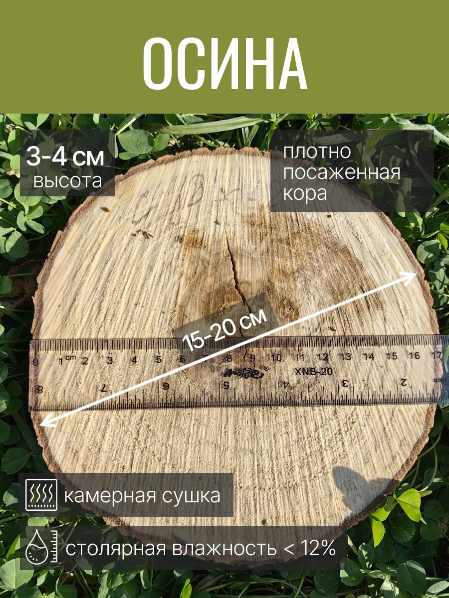 Спил дерева, Осина d 15-20 см, срезы, для декора и творчества, деревянные заготовки