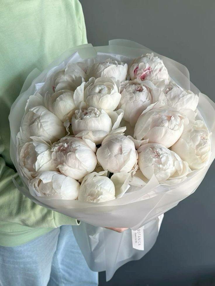 Монобукет "Букет из пионов", белый, в пленке, для особого случая