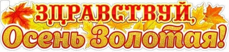 Плакат-растяжка "Здравствуй, осень золотая!", 100х22 см