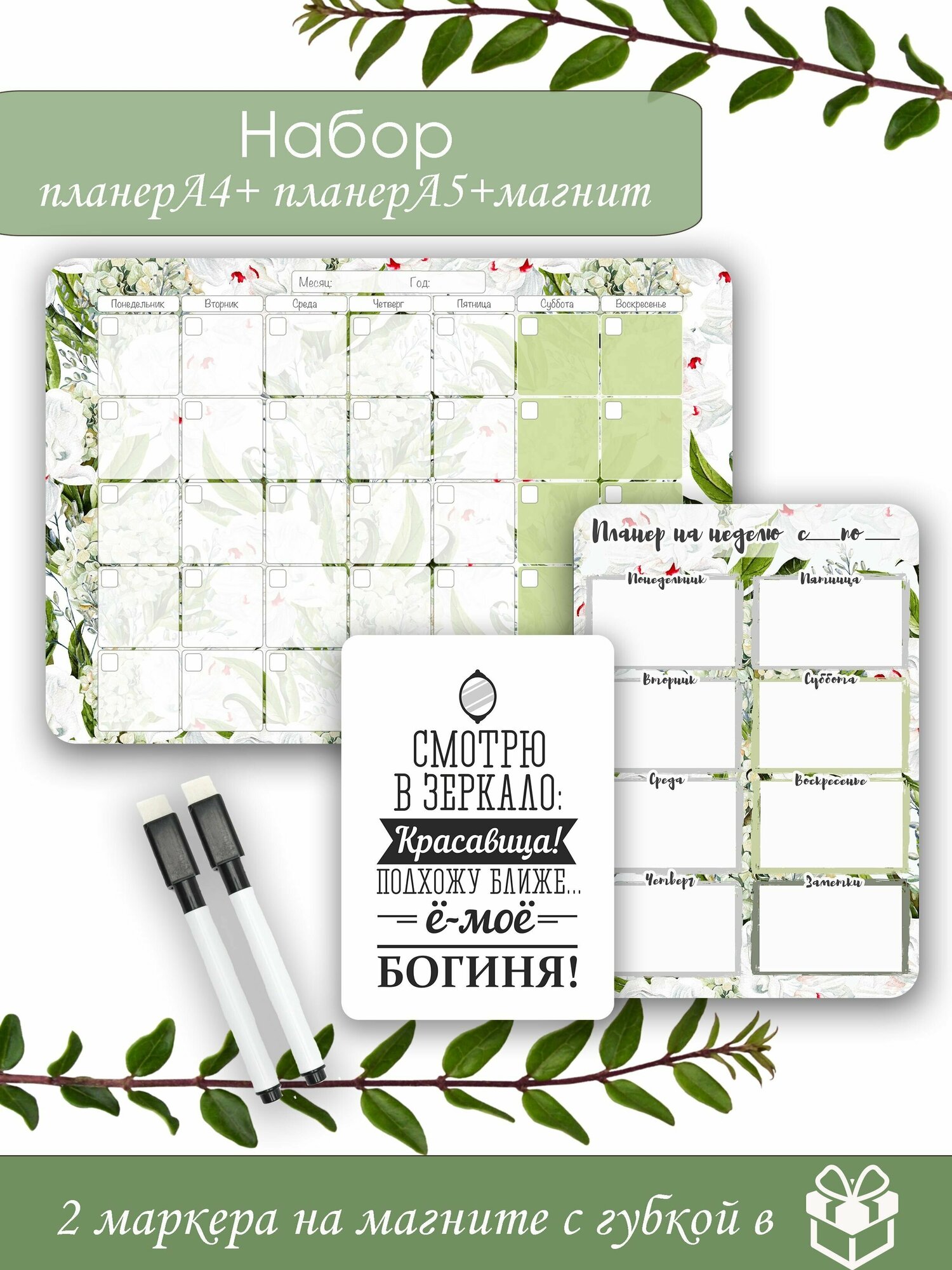 Набор магнитные планеры и магнит