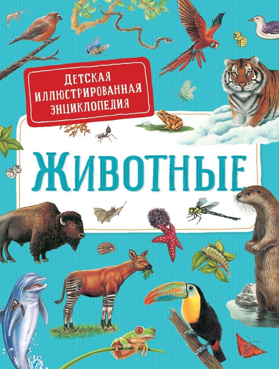 Дерэм С. Первая энциклопедия малыша. Животные. Детская иллюстрированная энциклопедия