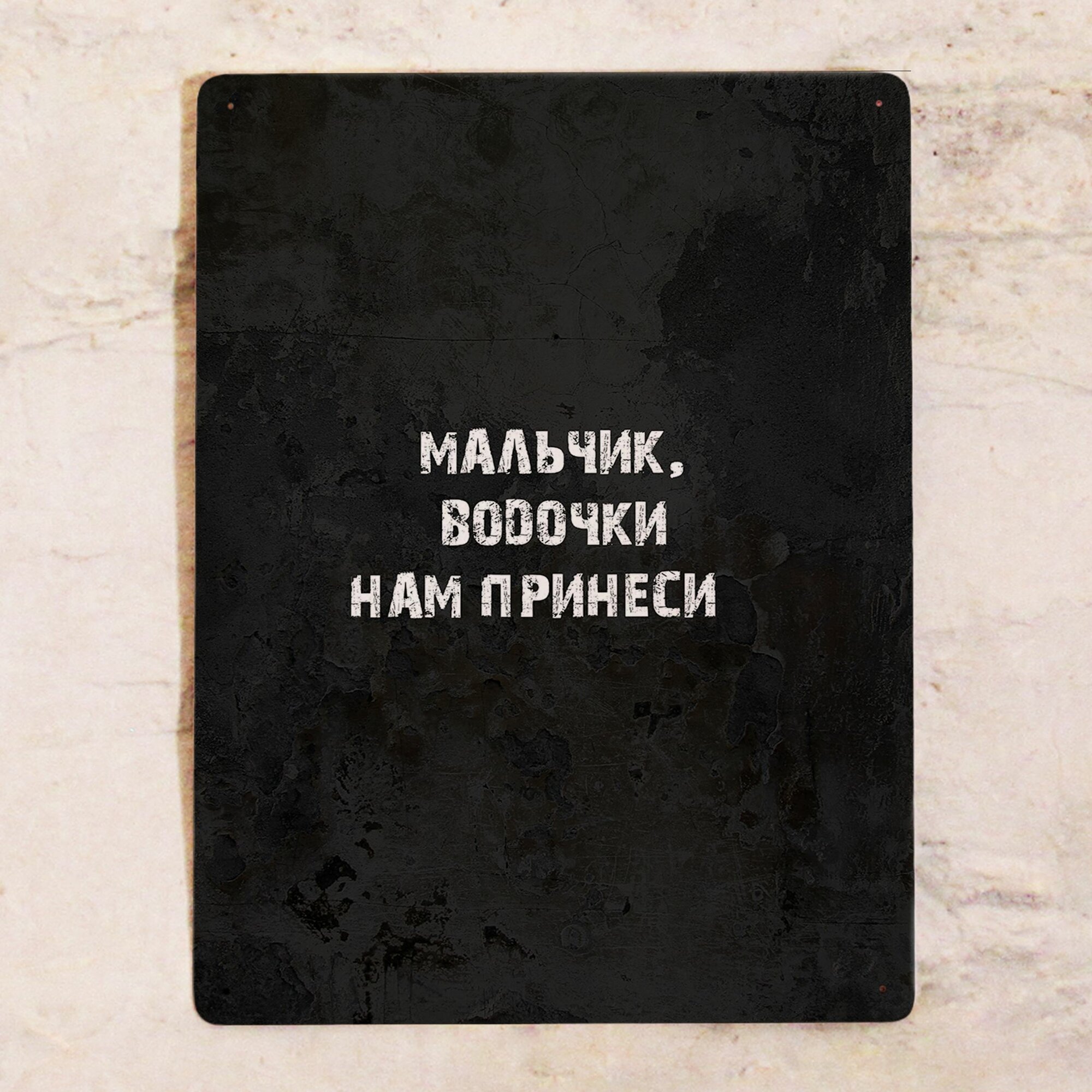 Прикольная табличка Мальчик, водочки нам принеси, металл, 20х30 см.