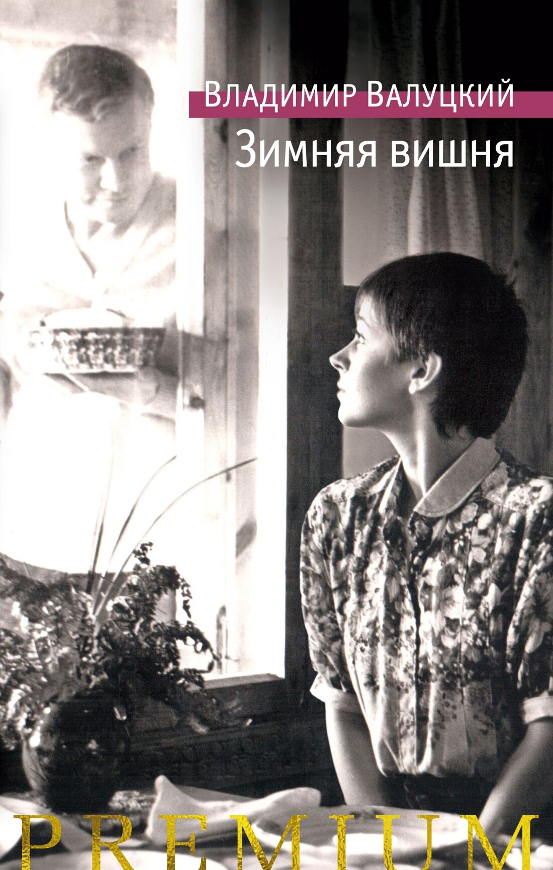 Книга Зимняя вишня. Валуцкий В.