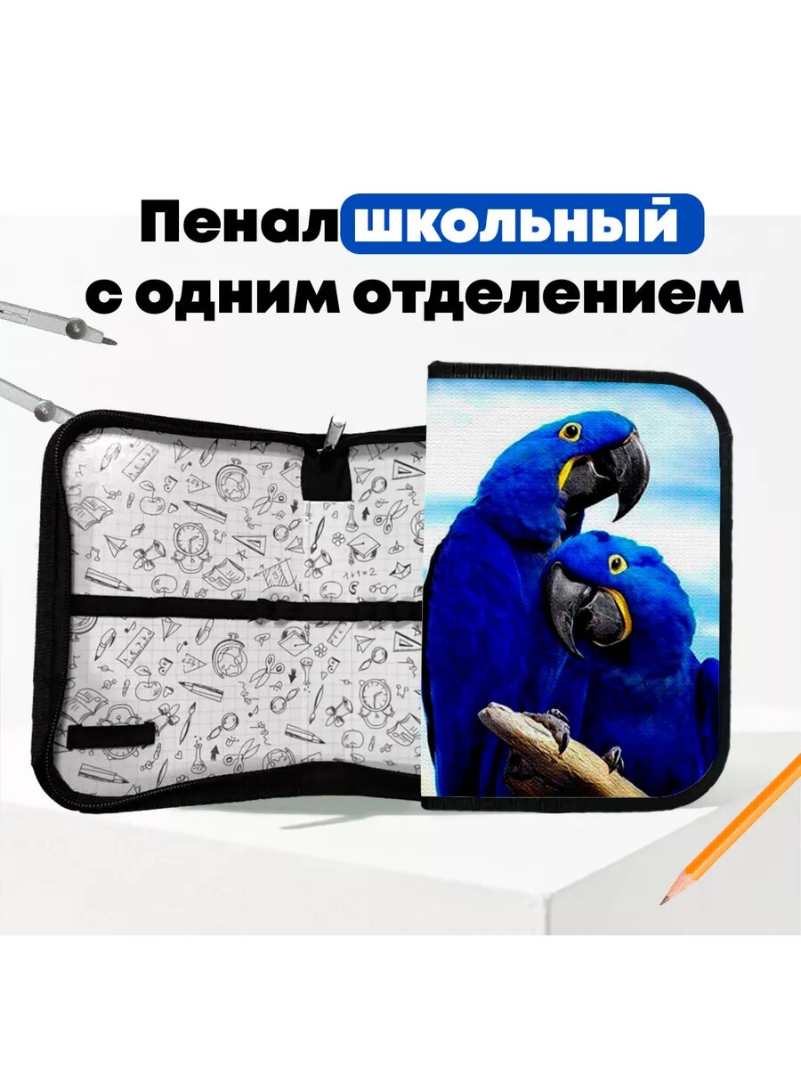 Школьный пенал Попугай