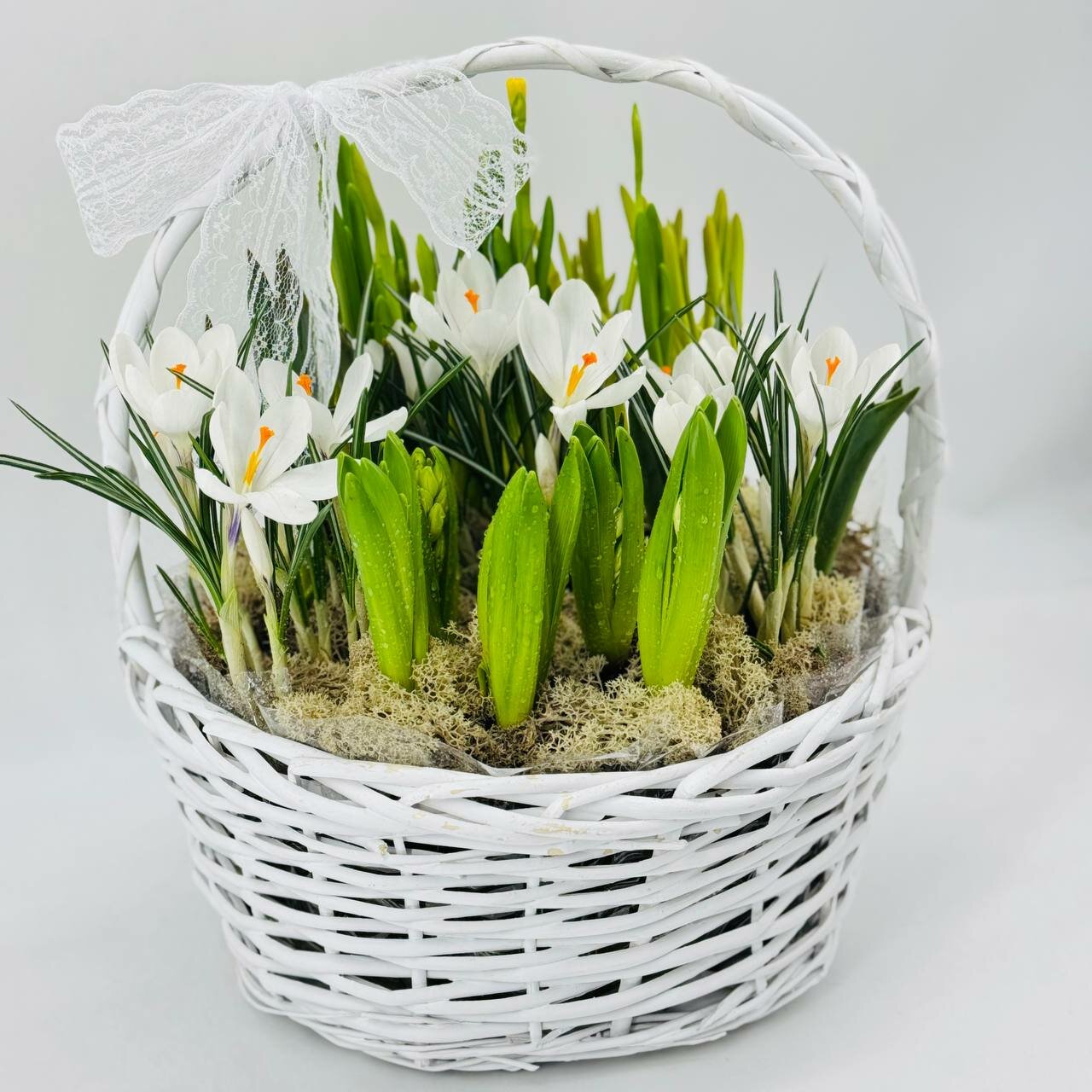 Корзина с первоцветами, гиацинты, крокусы, нарциссы, мускари, тюльпаны