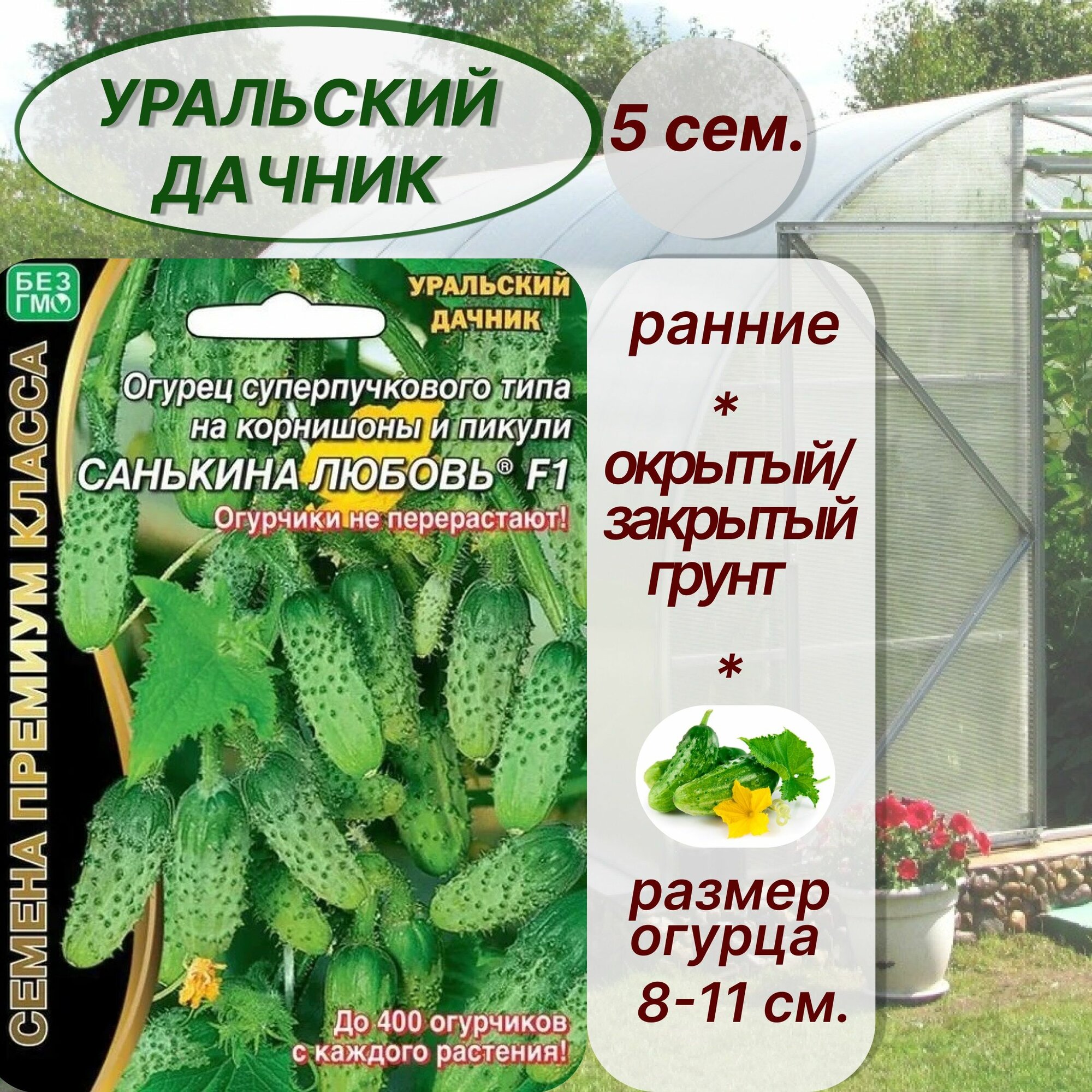 Семена Огурца "санькина любовь" F1 (1 упаковка)