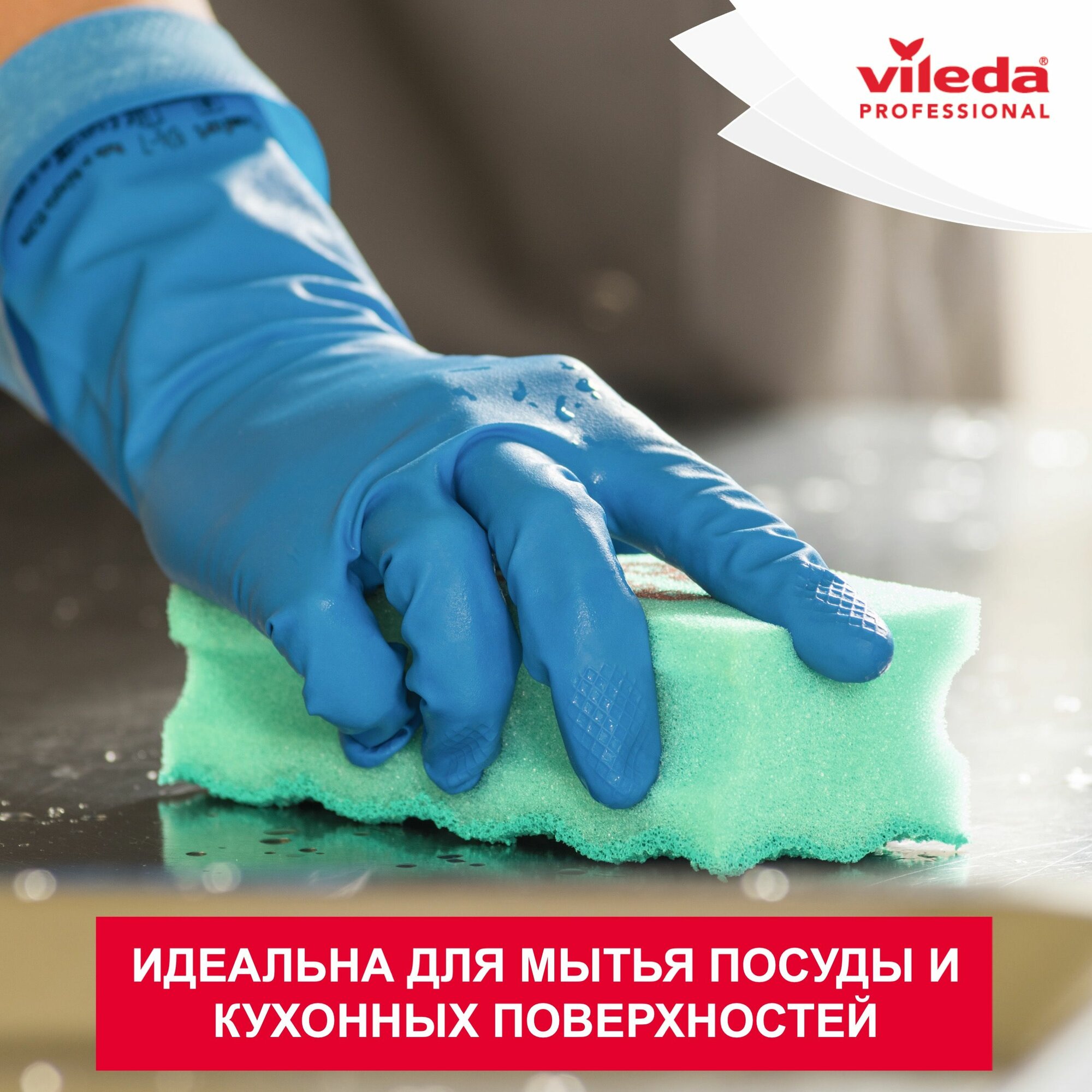 Губка — фото 1