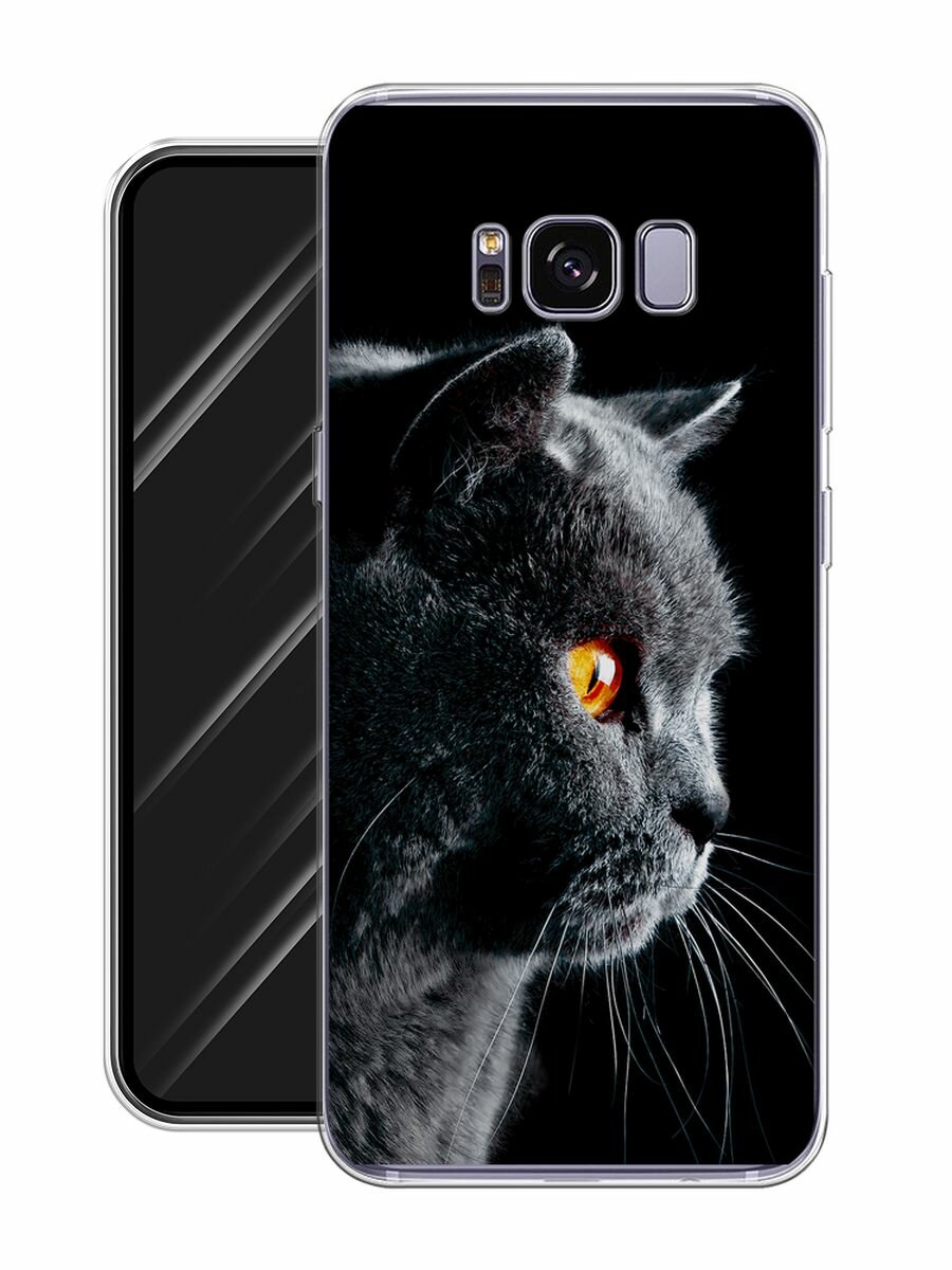Чехол на Samsung Galaxy S8 + / Самсунг Галакси С8 Плюс с принтом "Благородный кот британец" — фото 1