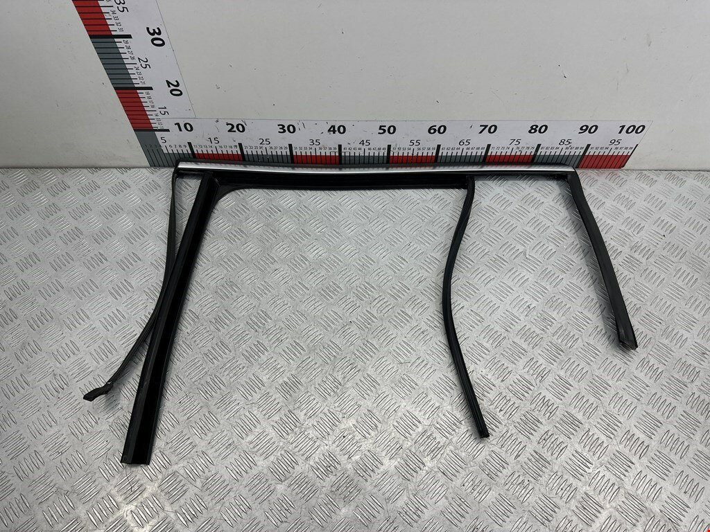 Накладка (молдинг) двери задней левой Volkswagen Tiguan 1 5N0839431H арт. 2261035