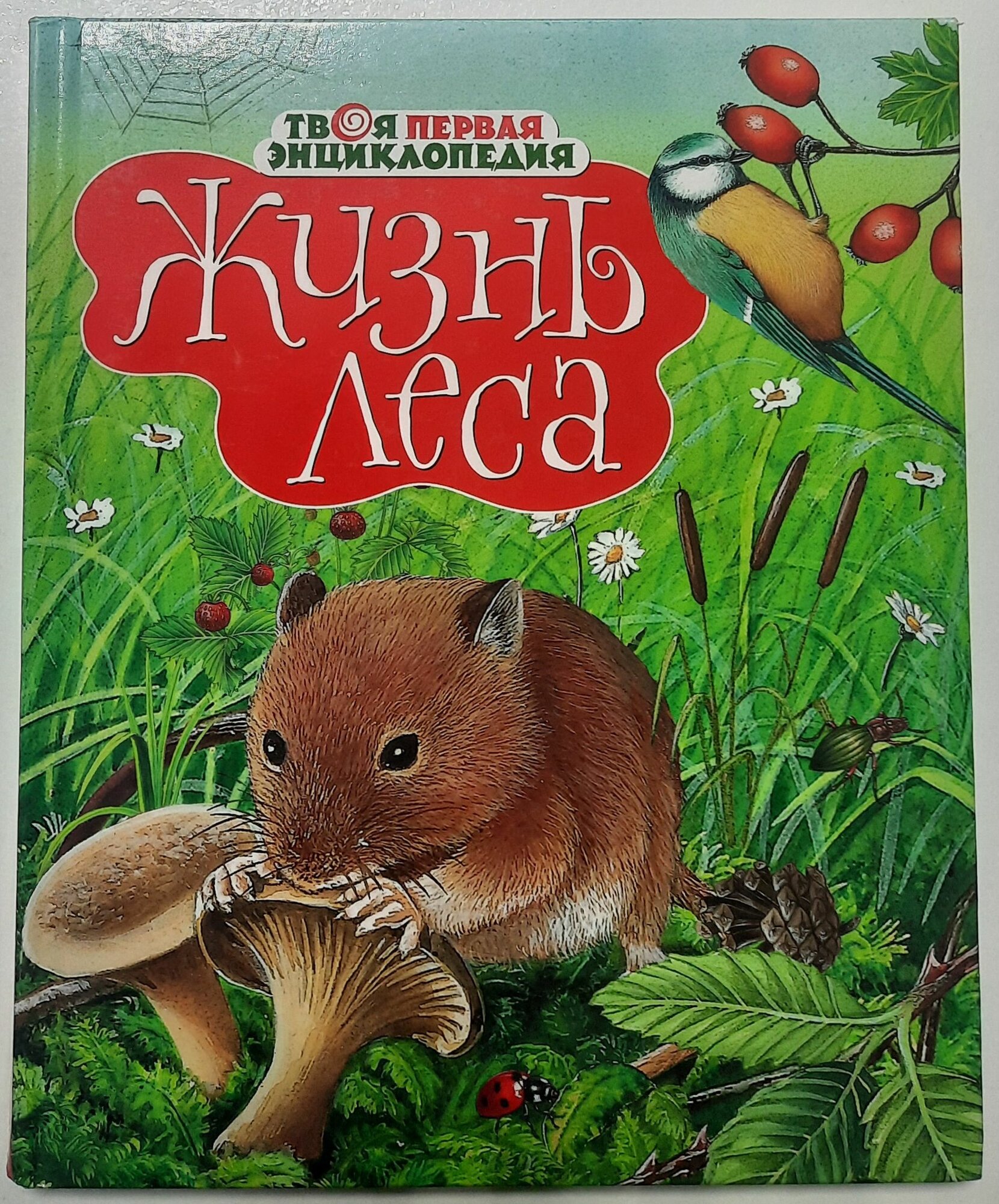 Жизнь леса. Твоя первая энциклопедия
