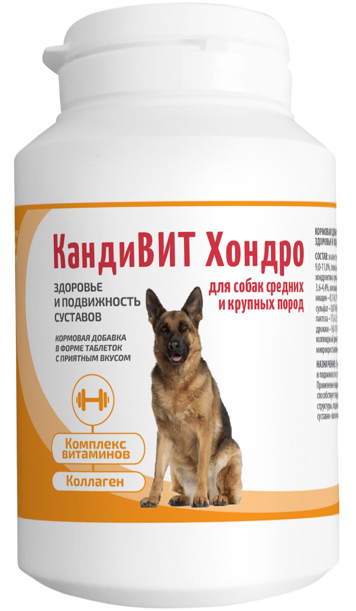Кандивит хондро корм добавка для собак сред и круп пород поддер здоров и подвиж сустав 50 т Candioli 1 шт
