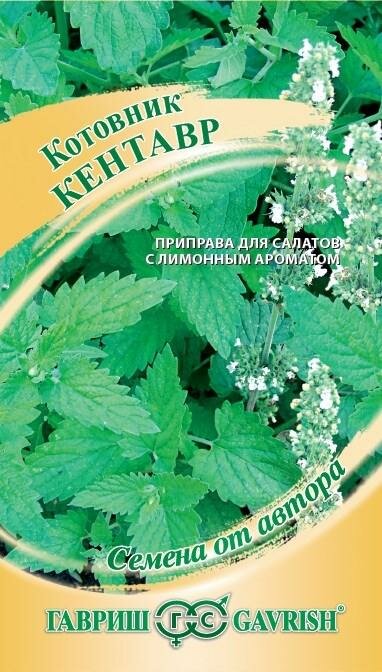 Цена за 10 пачек! Семена Котовник Кентавр 0,1г (Гавриш) автор