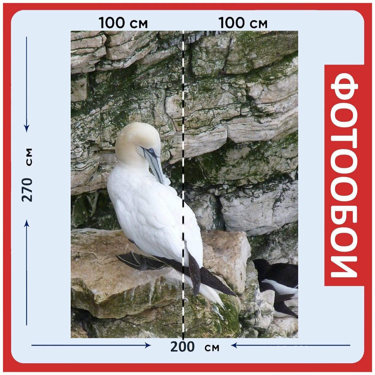 Фотообои "Жадина, скала, груминг" 200x270 см. флизелиновыена стену