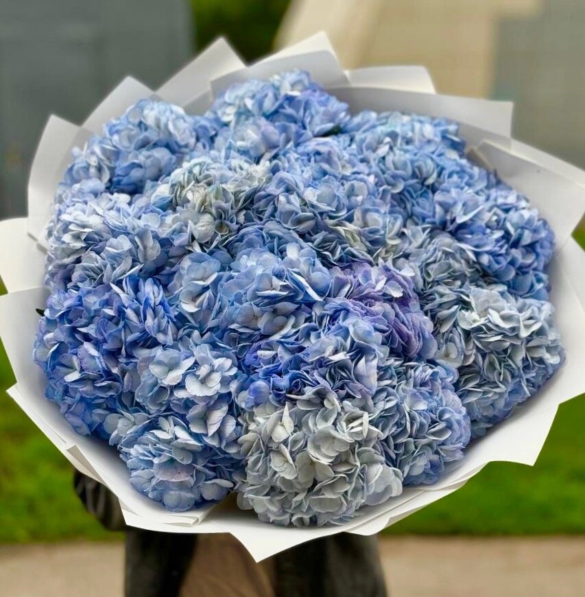 Свежий букет из бриллиантовых гортензий 15 шт. с доставкой до двери