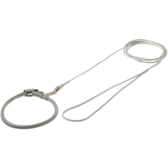 Комплект V.i.pet 6мм х 26см (19-22 см) ошейник круглый + поводок 3мм х 1,2м серебристый