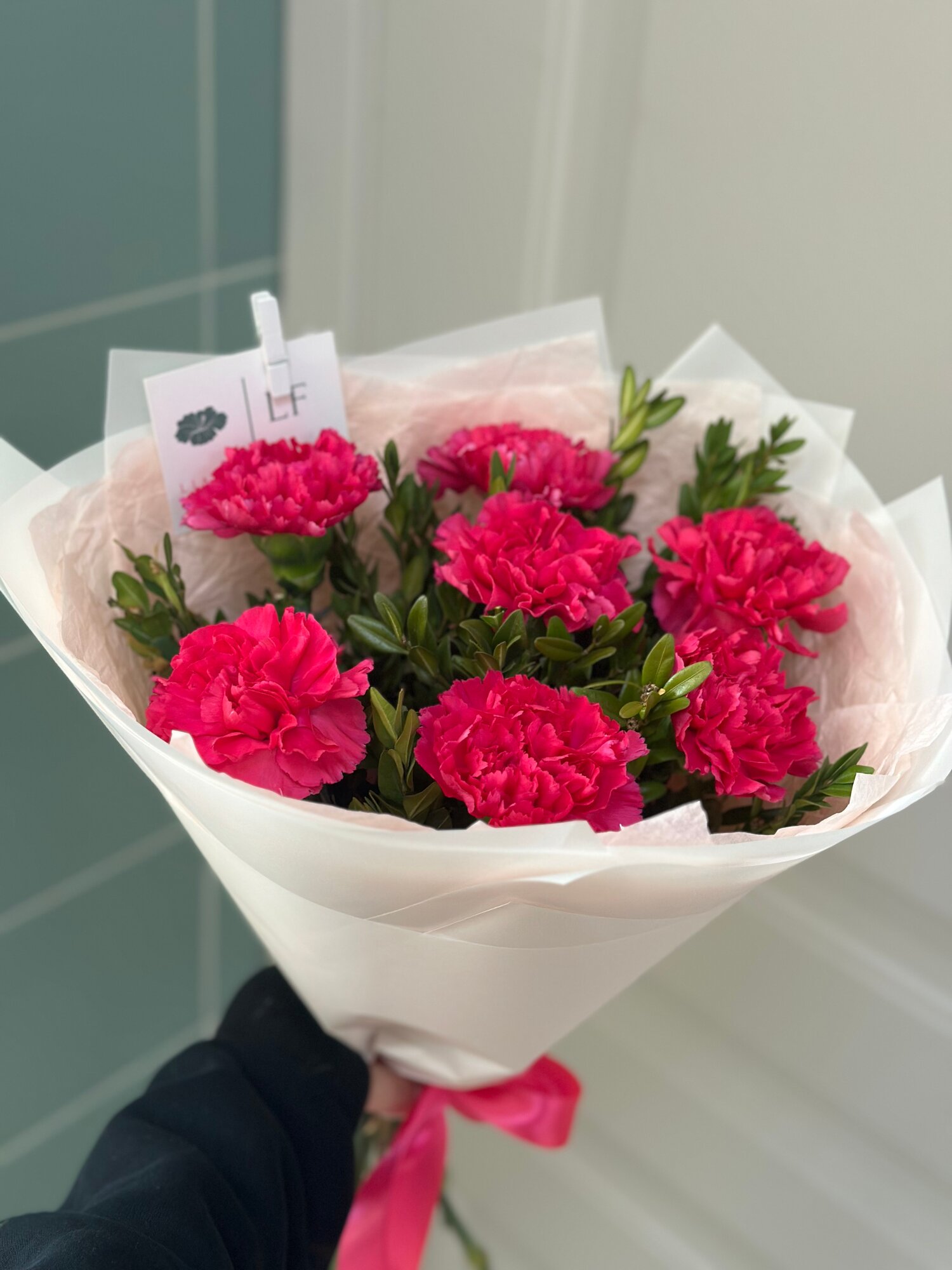 Монобукет "Яркие Диантусы", гвоздики, самшит, высота 60 см, 7 штук, с бантом